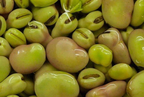 Bobul | ViataVerdeViu.ro