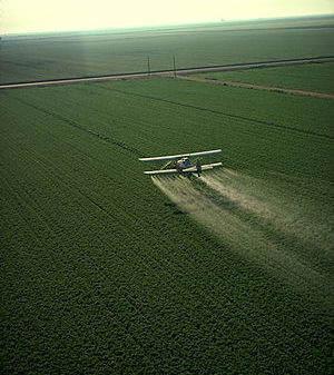 Pesticidele - inamicul ascuns | ViataVerdeViu.ro