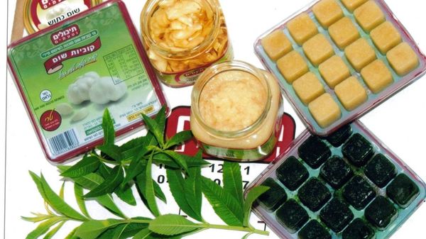 Alimentele functionale | ViataVerdeViu.ro