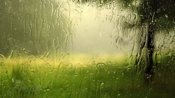 Ploaia naste... | ViataVerdeViu.ro