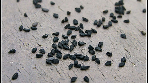 Negrilica(Nigella sativa) este cel mai mare cosmar al cancerului ...