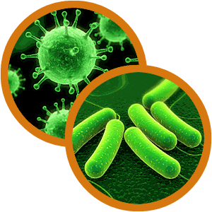 Tulburarile autoimune pot fi tratate cu succes | ViataVerdeViu.ro