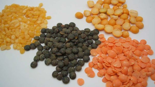 19 lucruri interesante despre linte | ViataVerdeViu.ro