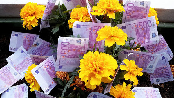 5 pasi pentru a atrage mai multi bani in viata ta | ViataVerdeViu.ro