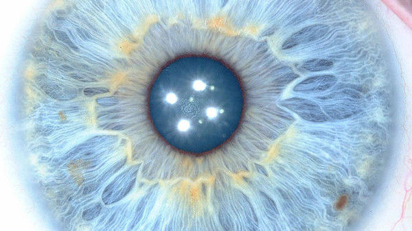 Oglinda corpului: ce pot spune limba sau ochii despre sanatatea ta ...