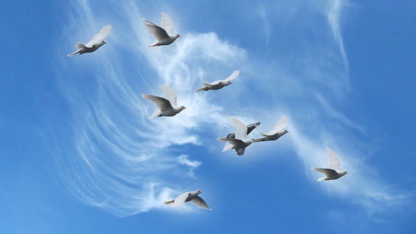 Cum sa-ti umpli viata cu pace si dragoste | ViataVerdeViu.ro