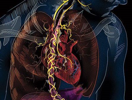 Cum sa stimulezi mecanismul ancestral de insanatosire al corpului ...