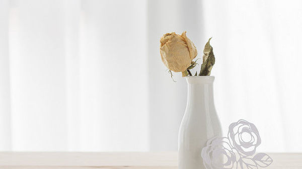 O adepta a minimalismului raspunde celor mai frecvente 10 obiectii la ...