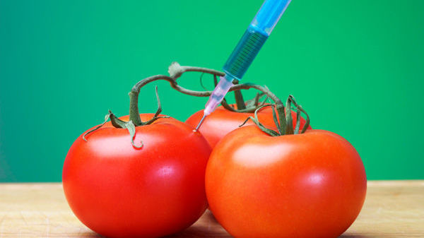 Ce sunt de fapt organismele modificate genetic? | ViataVerdeViu.ro