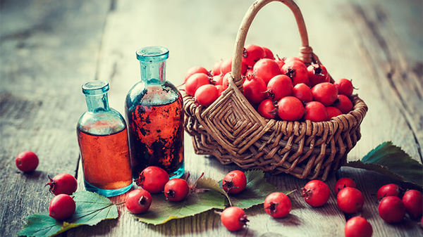 Paducelul, planta vietii! | ViataVerdeViu.ro