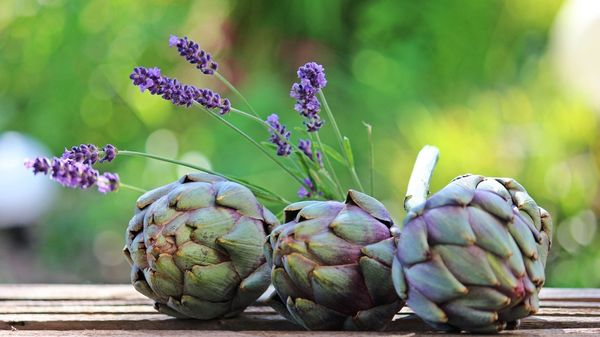 Anghinarea | ViataVerdeViu.ro