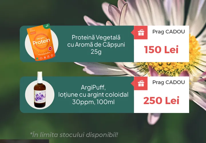 Viata Verde Viu | Ghidul tău de sănătate holistică și magazin online cu ...